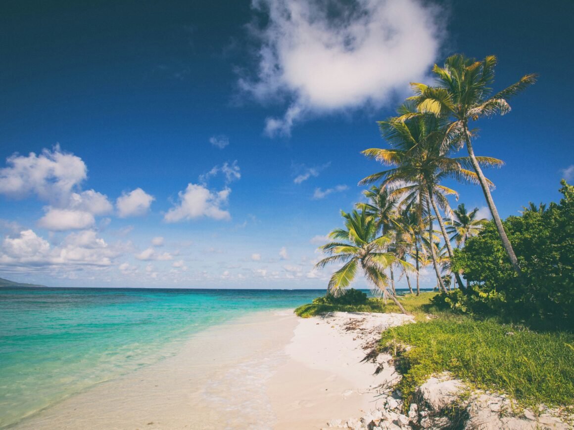 Transforming Passenger Experience Through Digital Innovations - Pure Travel